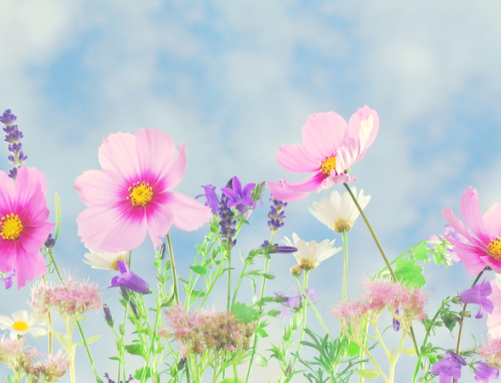 Spring-y Ideas For Your Music Therapy Sessions - Wholesome Harmonies, LLC