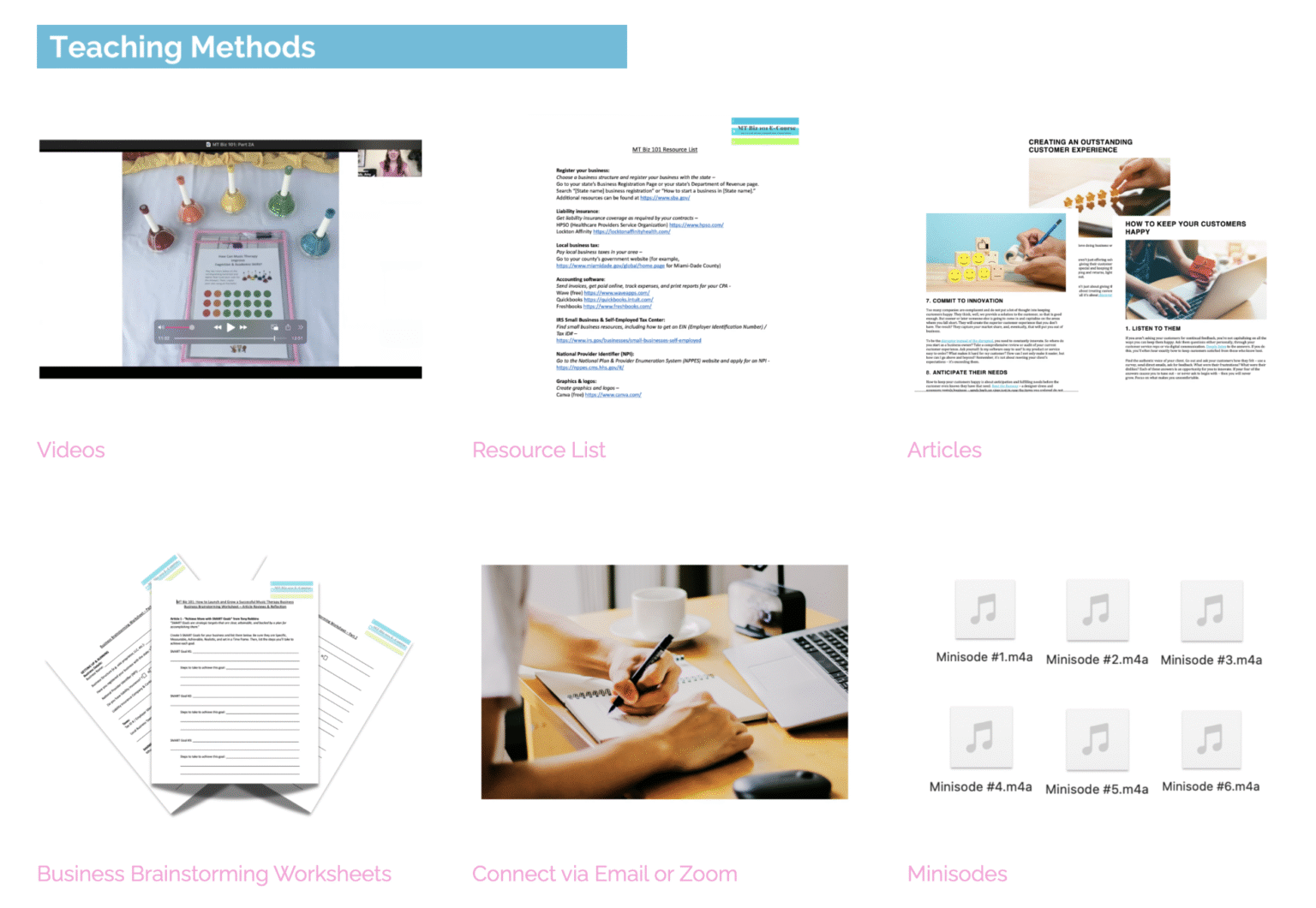 Take a Sneak Peek Inside the MT Biz 101 Pro Package - Wholesome ...